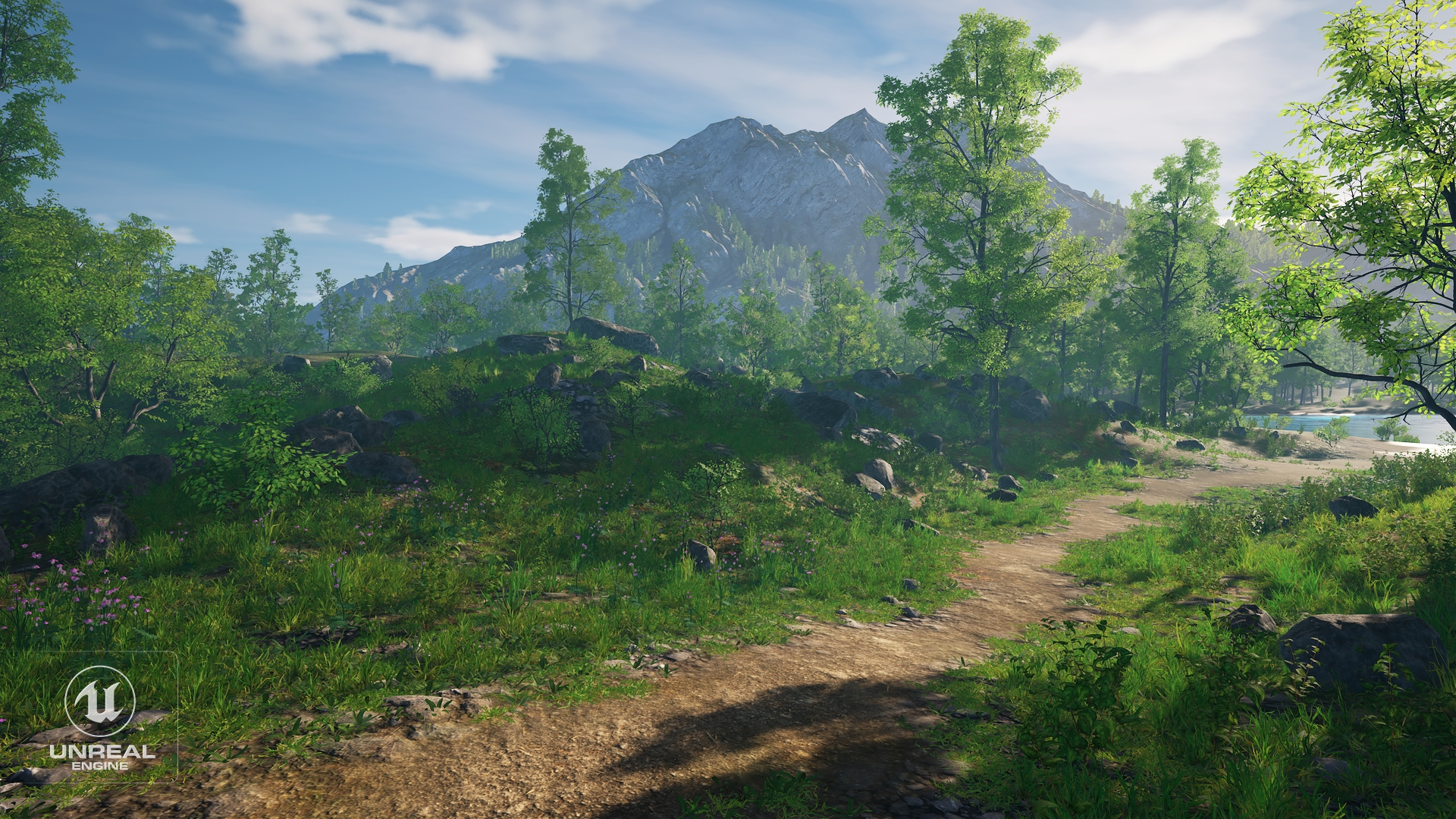 Environment Pack for Unreal Engine | Daz 3D