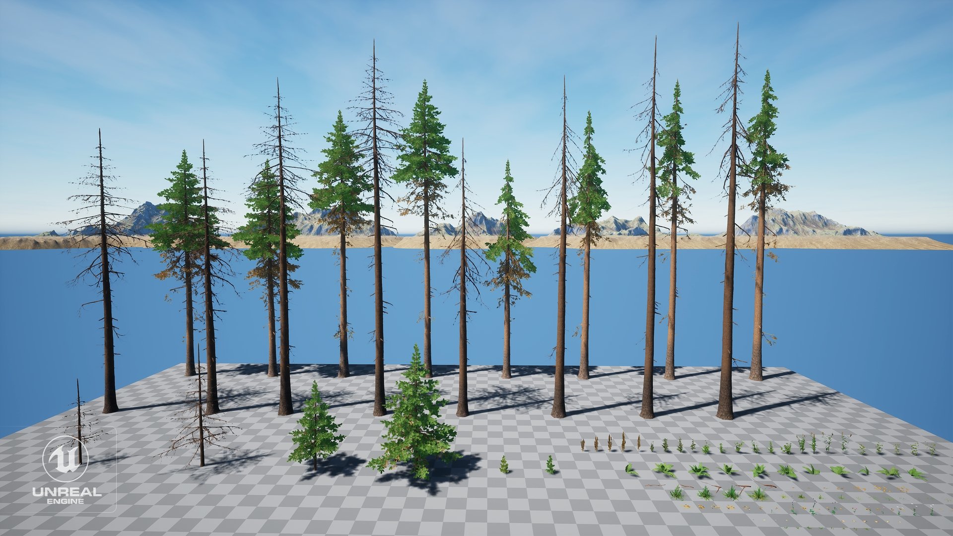 Environment Pack for Unreal Engine | Daz 3D