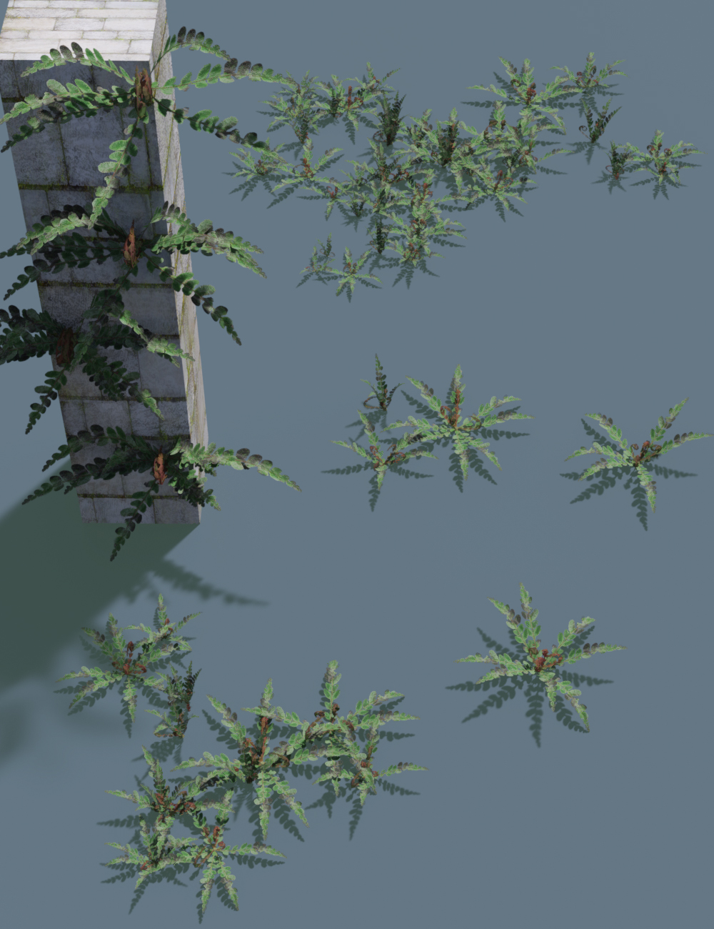 Low Res Tropical Ferns | Daz 3D