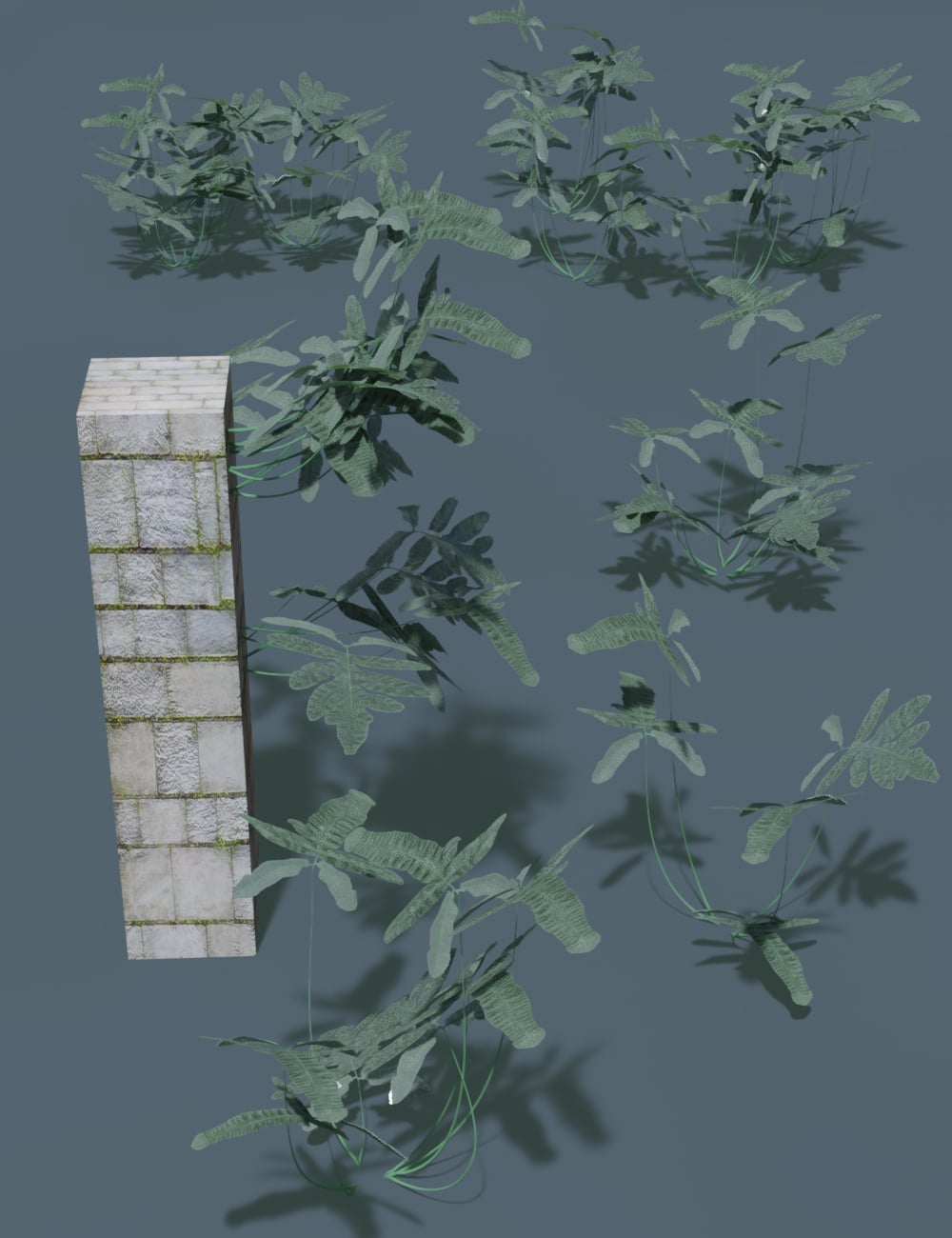 Low Res Tropical Ferns | Daz 3D