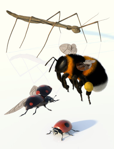 Little Friends Insect Bundle | Daz 3D