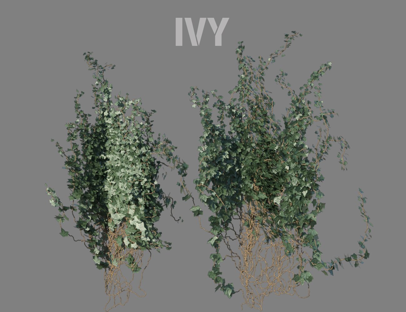 Compound Gate | Daz 3D