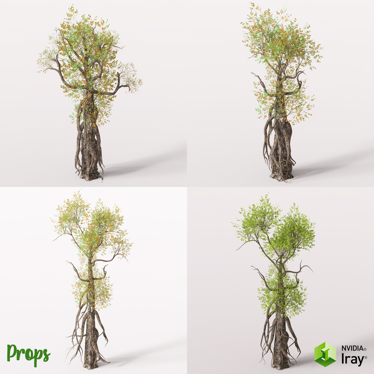 Fantastic and Enchanted Trees | Daz 3D