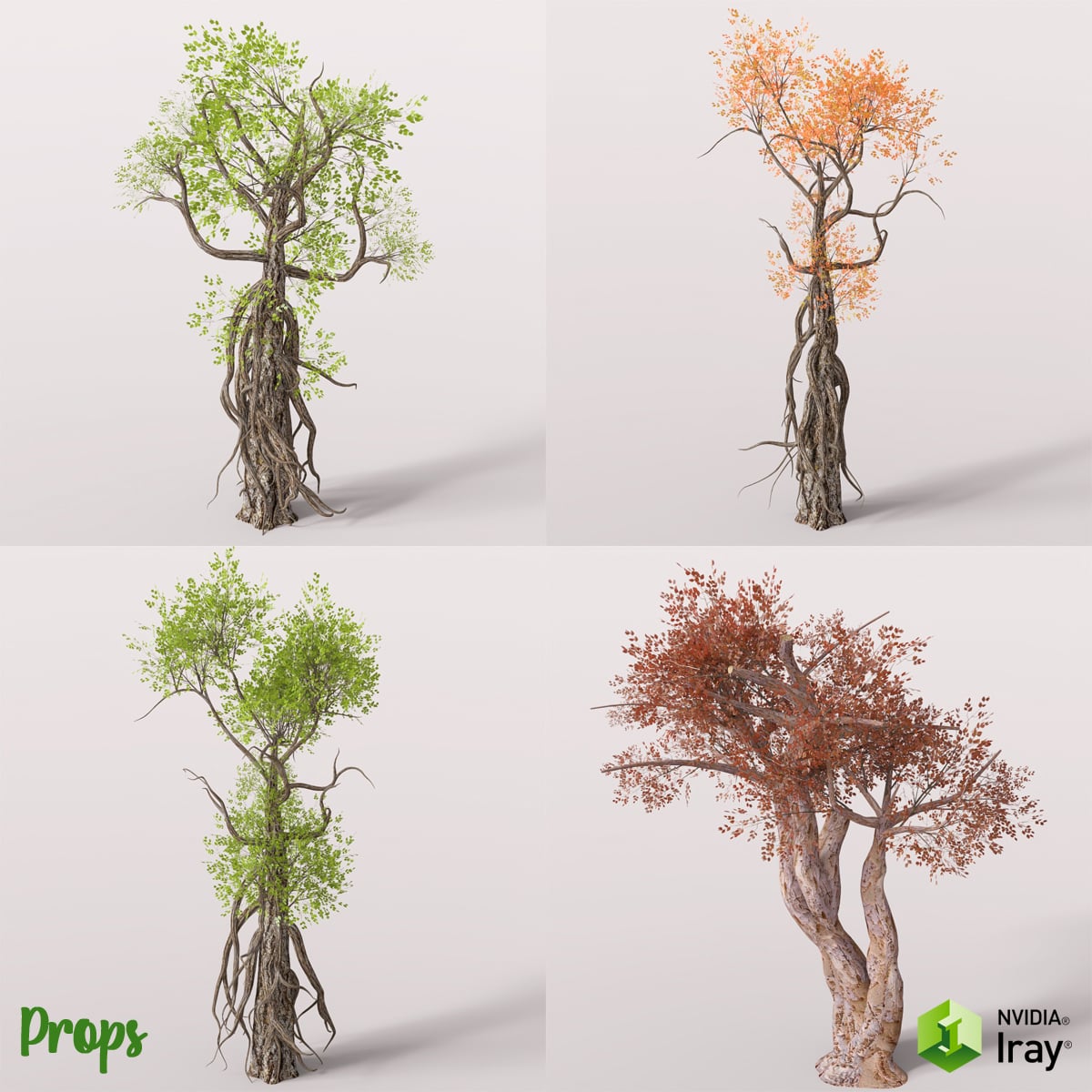 Fantastic and Enchanted Trees | Daz 3D