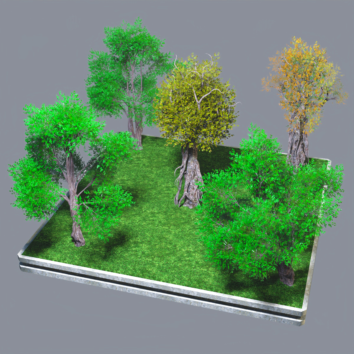 Fantastic and Enchanted Trees | Daz 3D