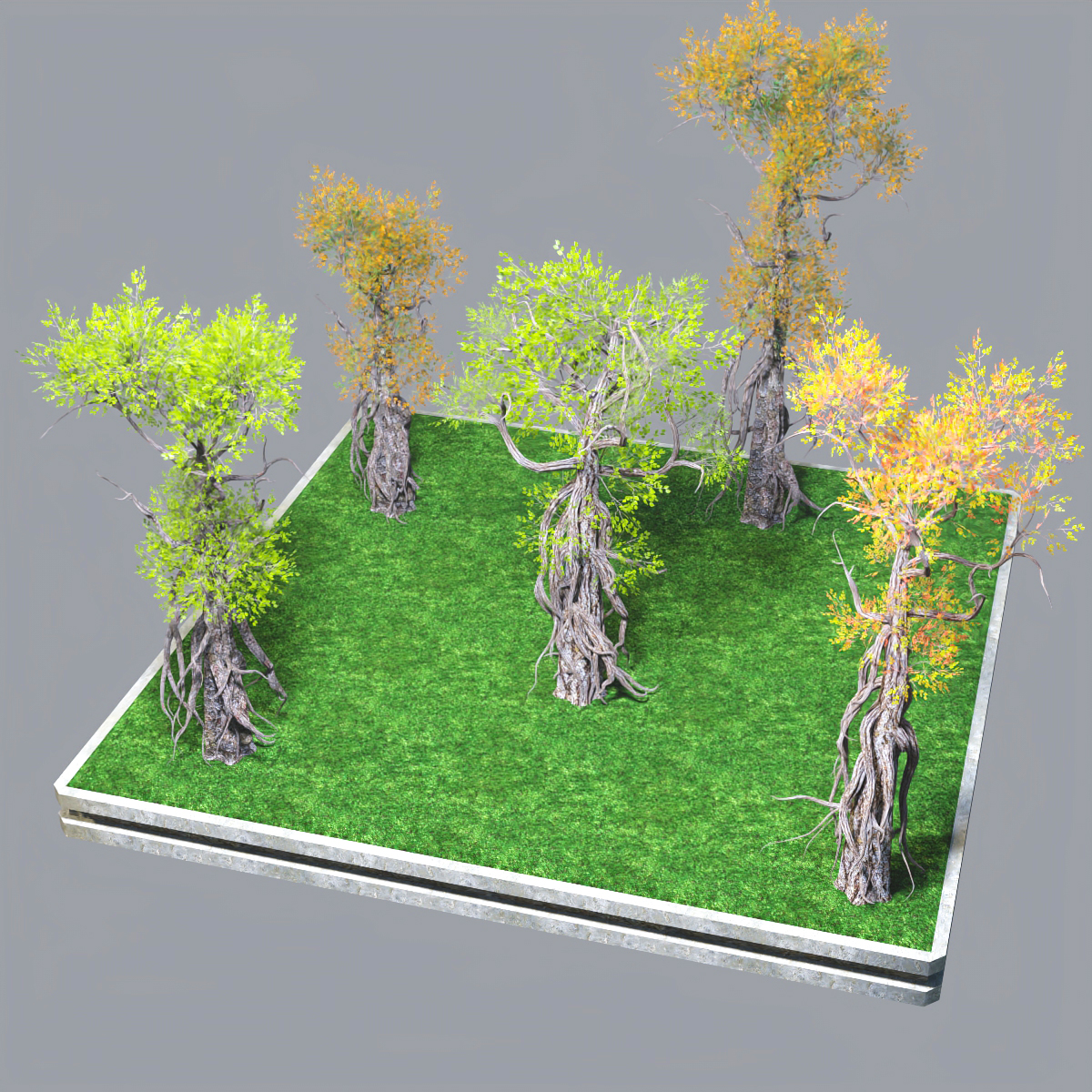 Fantastic and Enchanted Trees | Daz 3D