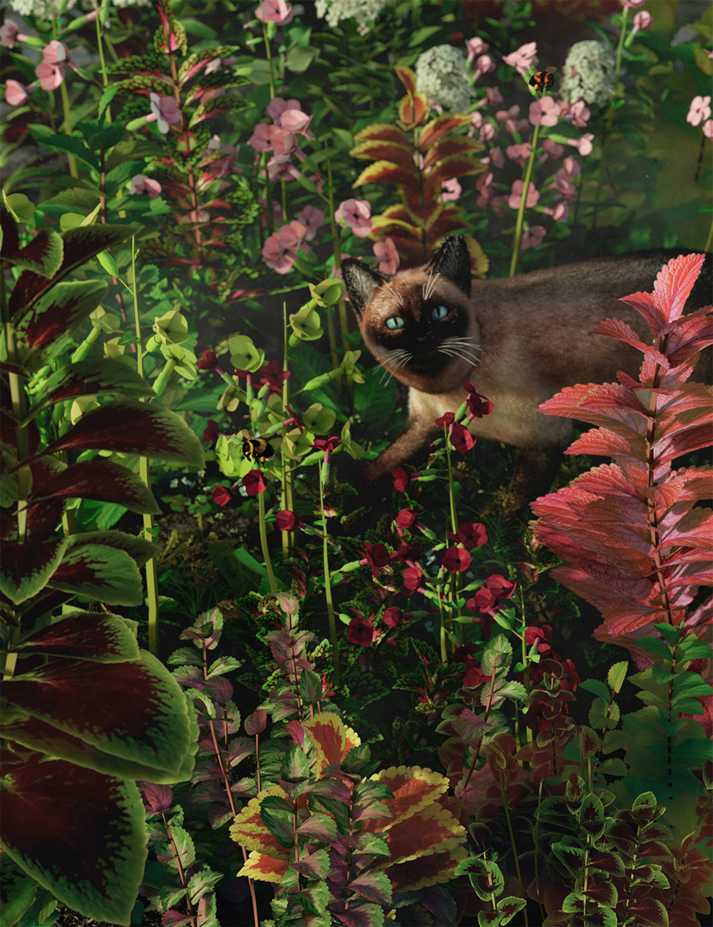 Fabulous Foliage - Low Res Coleus Plants | Daz 3D