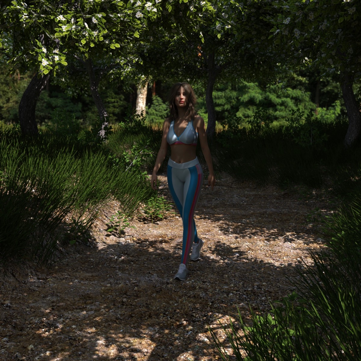 Path Between the Trees | Daz 3D