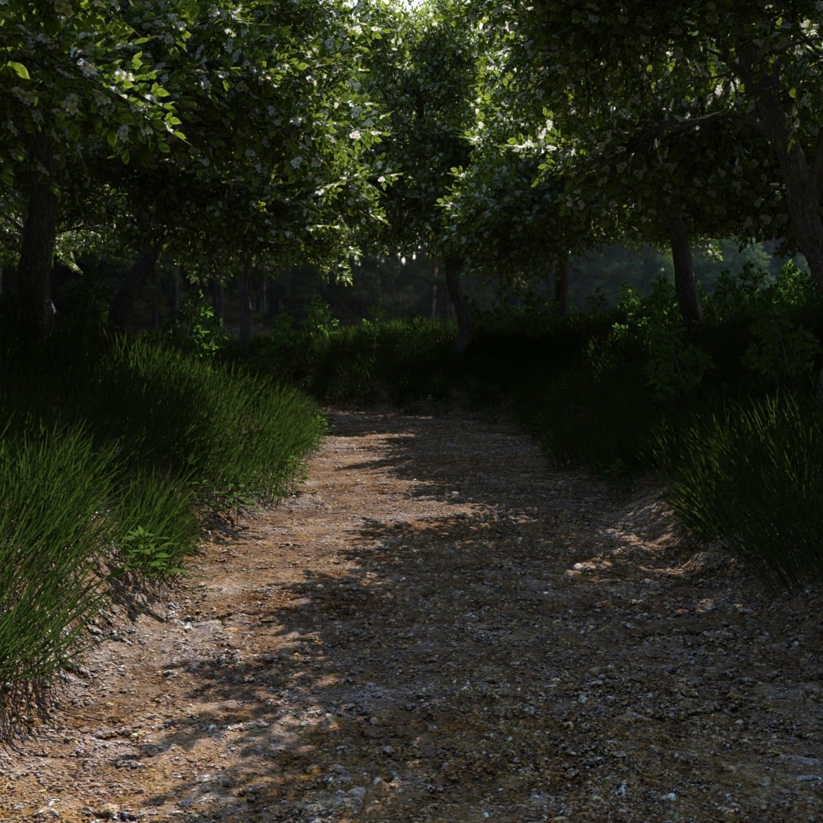 Path Between the Trees | Daz 3D