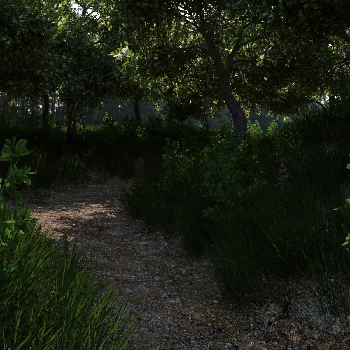 Path Between the Trees | Daz 3D