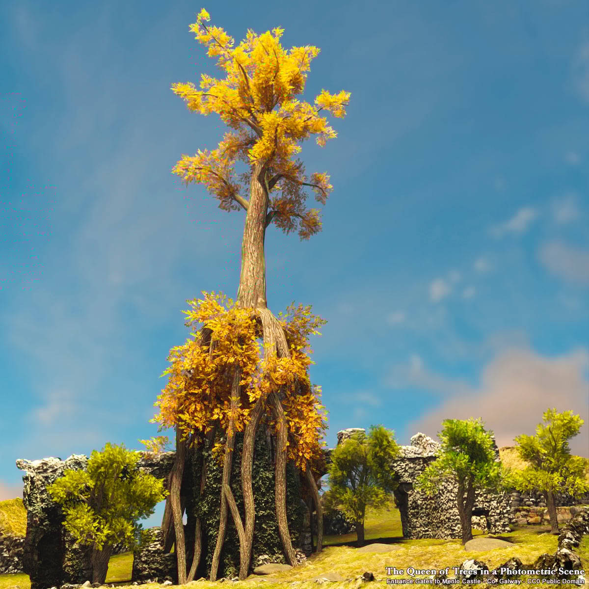 The Queen of Trees | Daz 3D