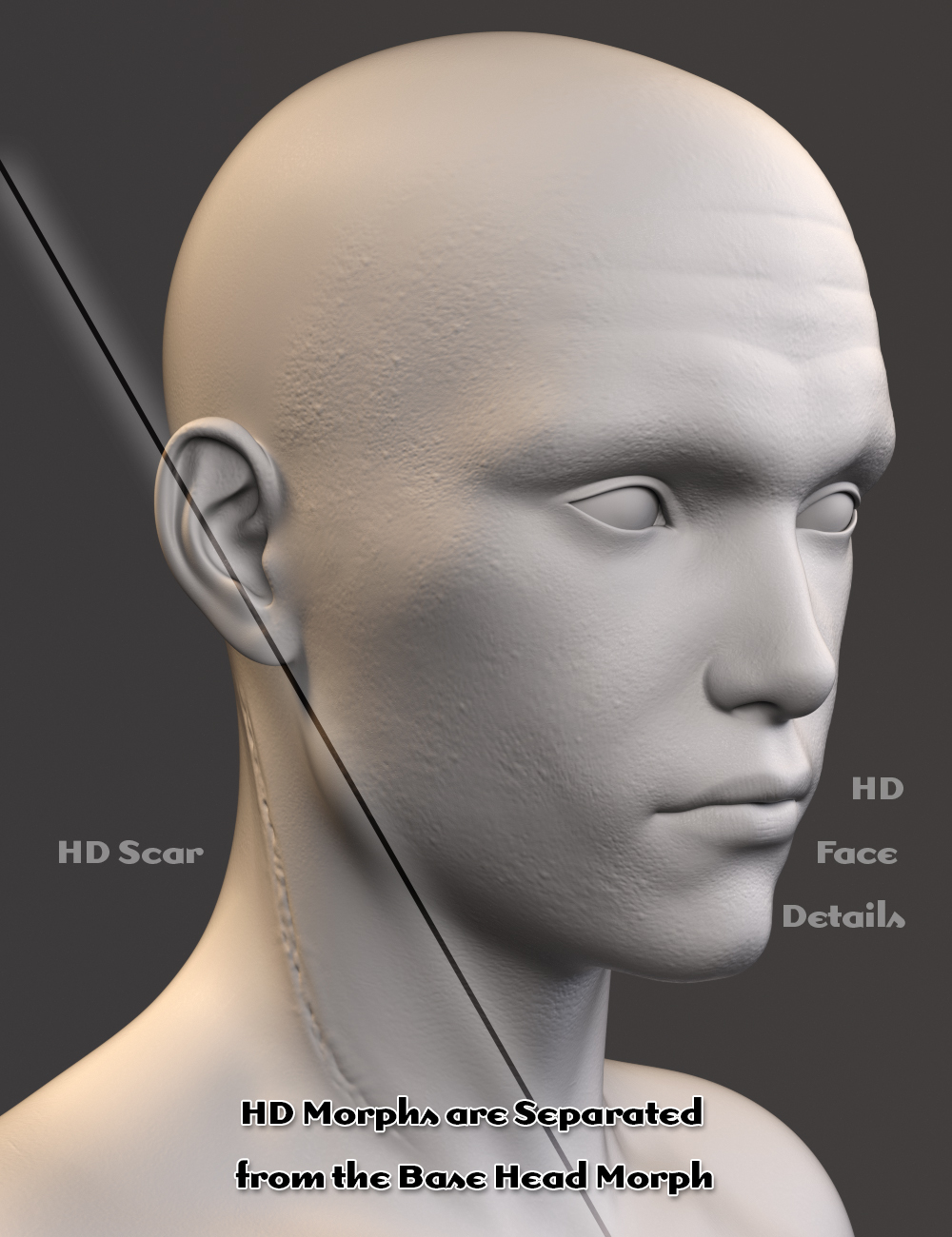 Wizen for Genesis 8 Male | Daz 3D