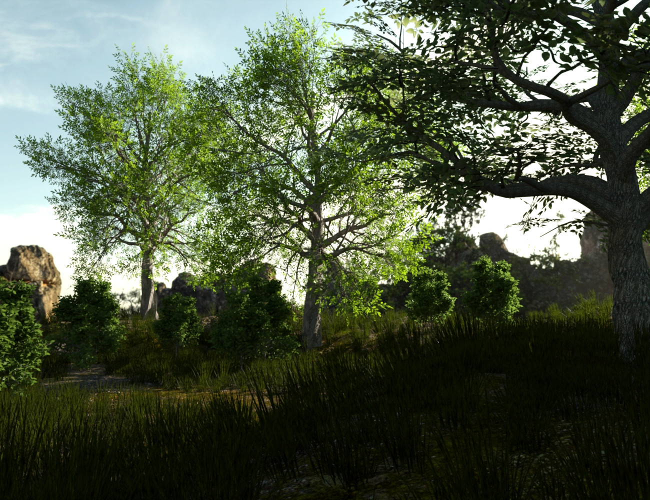 The Magical Tree | Daz 3D