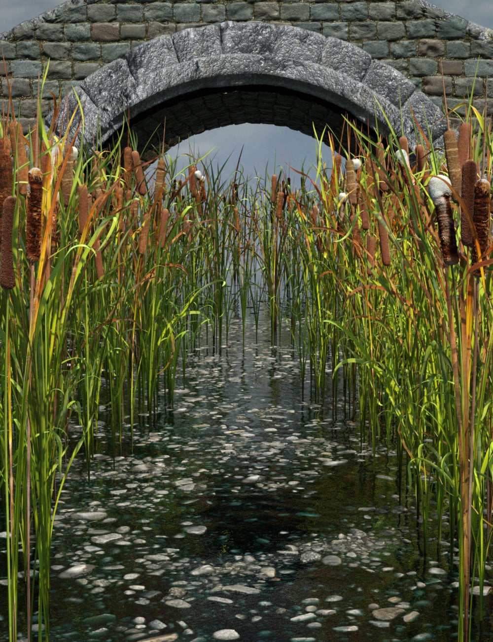Rigged Cattail Reeds | Daz 3D