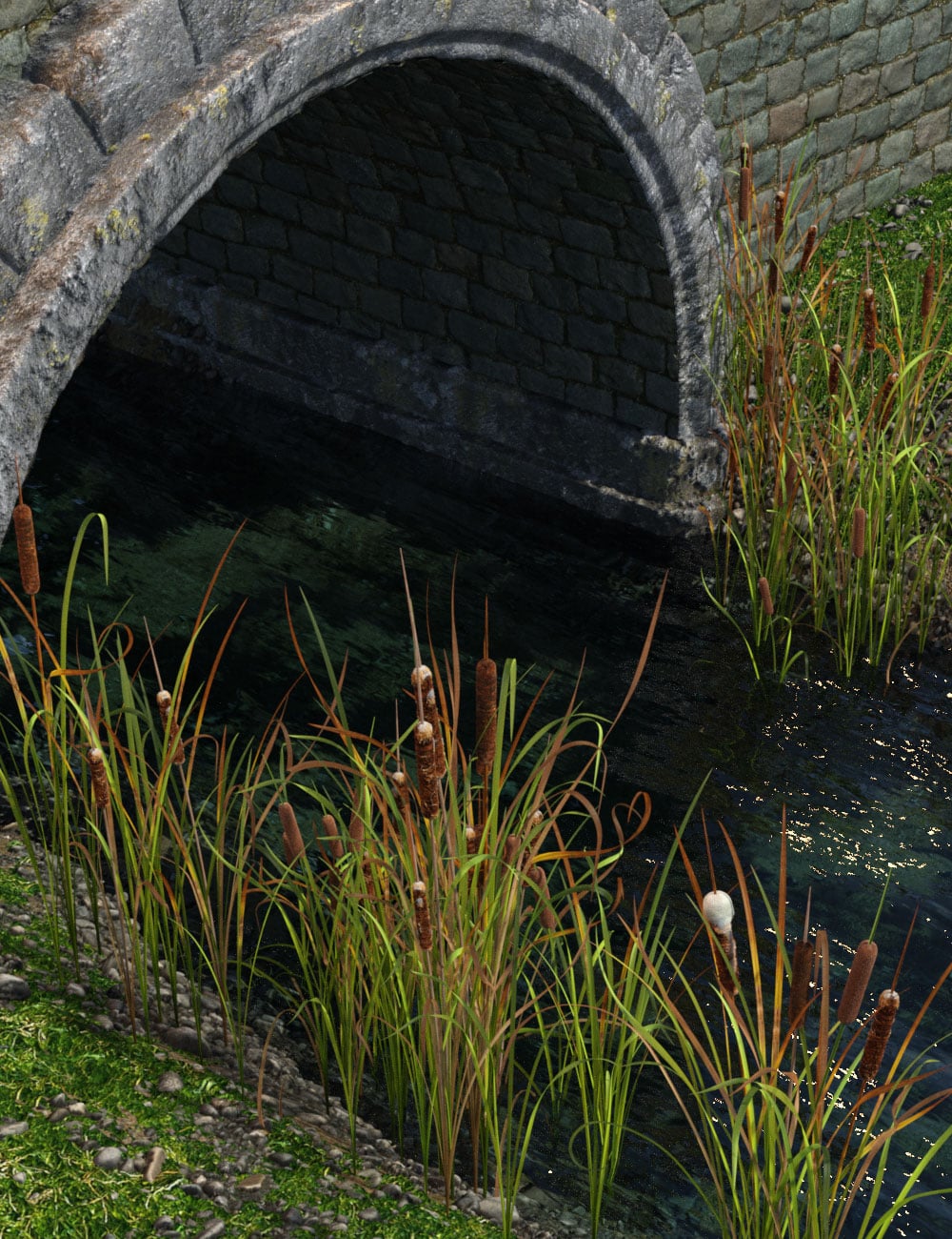 Rigged Cattail Reeds | Daz 3D