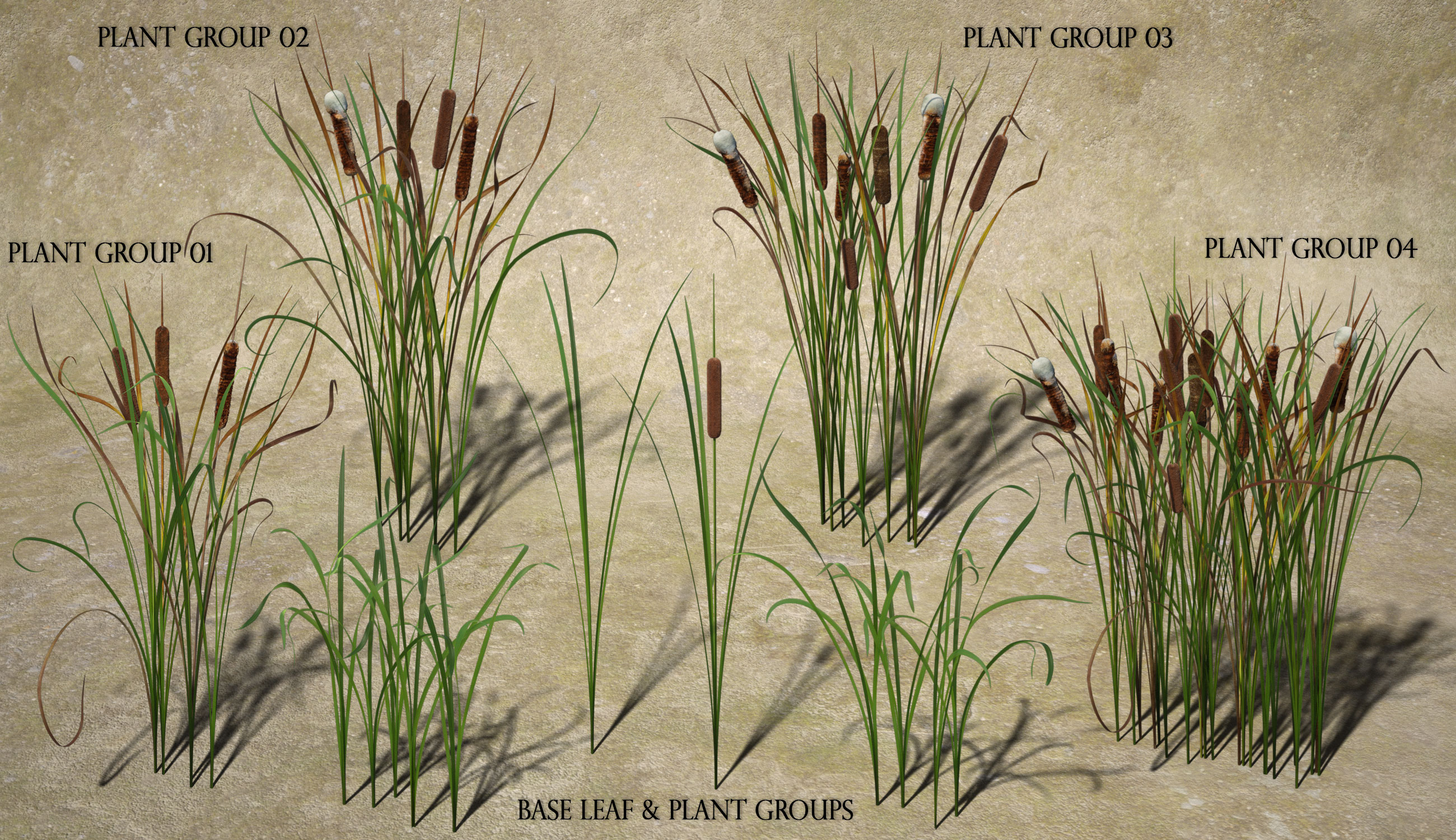 Rigged Cattail Reeds | Daz 3D