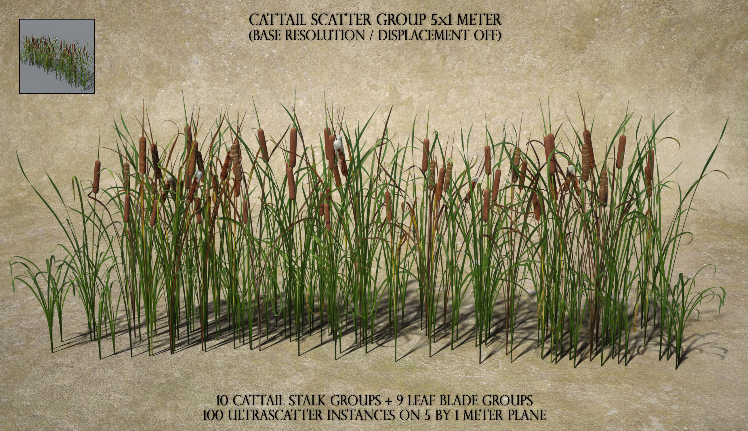 Rigged Cattail Reeds | Daz 3D