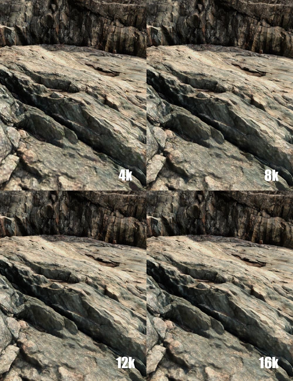 HD Scans Beach Rocks | Daz 3D