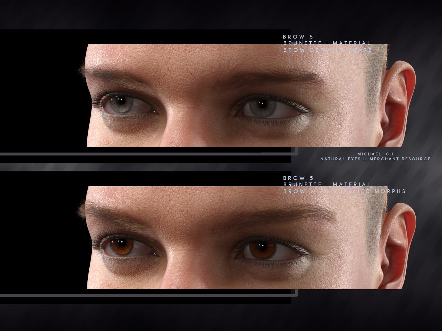 Bold Brows II Merchant Resource for Genesis 8 and 8.1 Males | Daz 3D