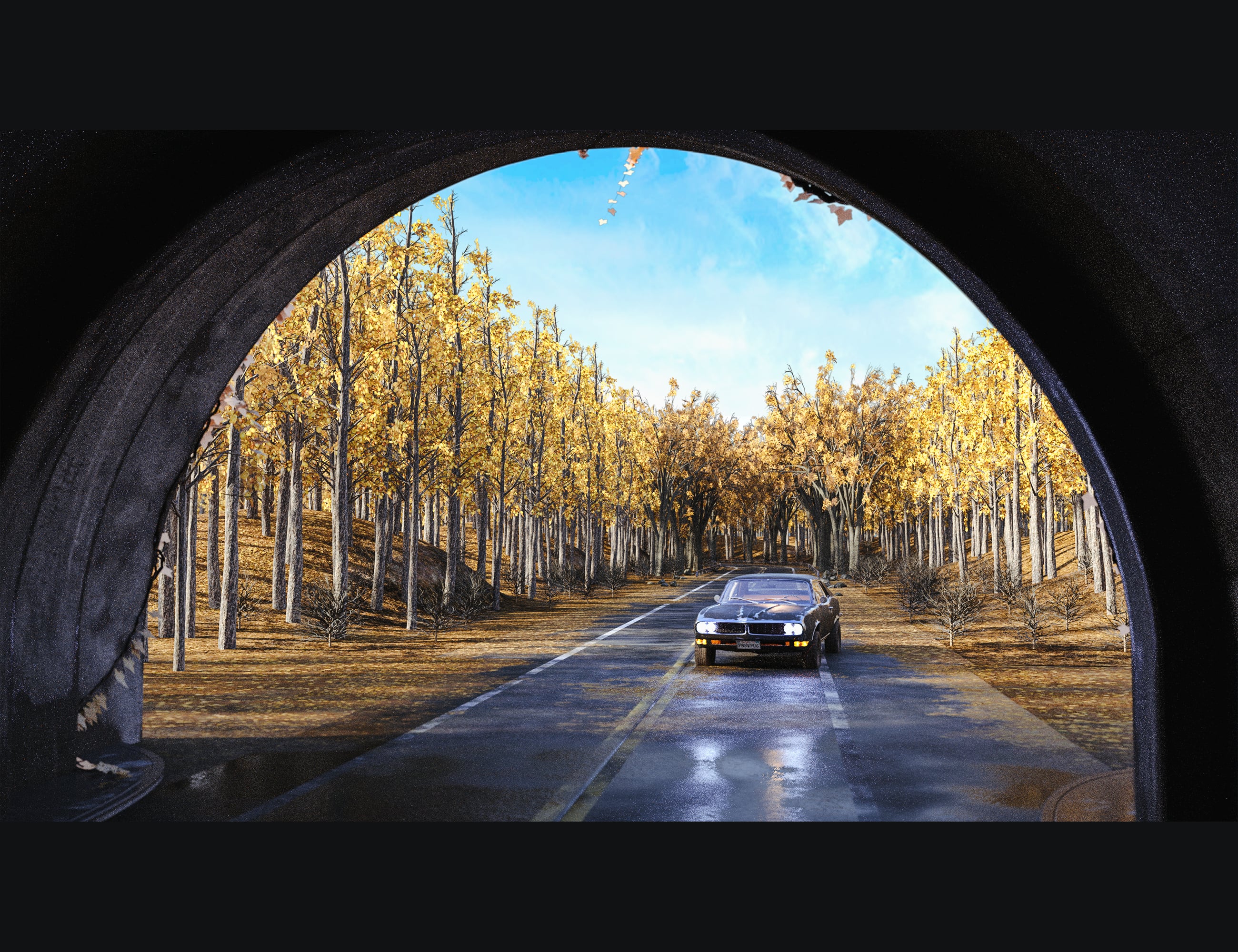 Forest Road | Daz 3D