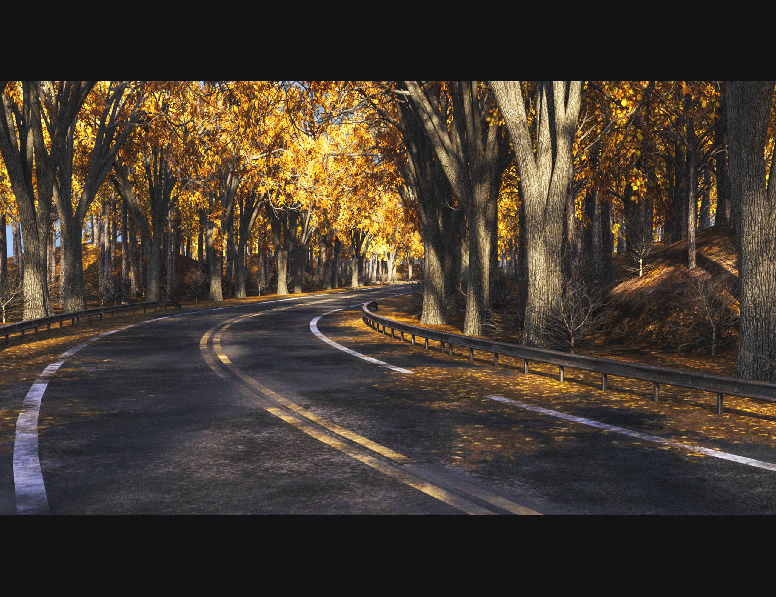 Forest Road | Daz 3D
