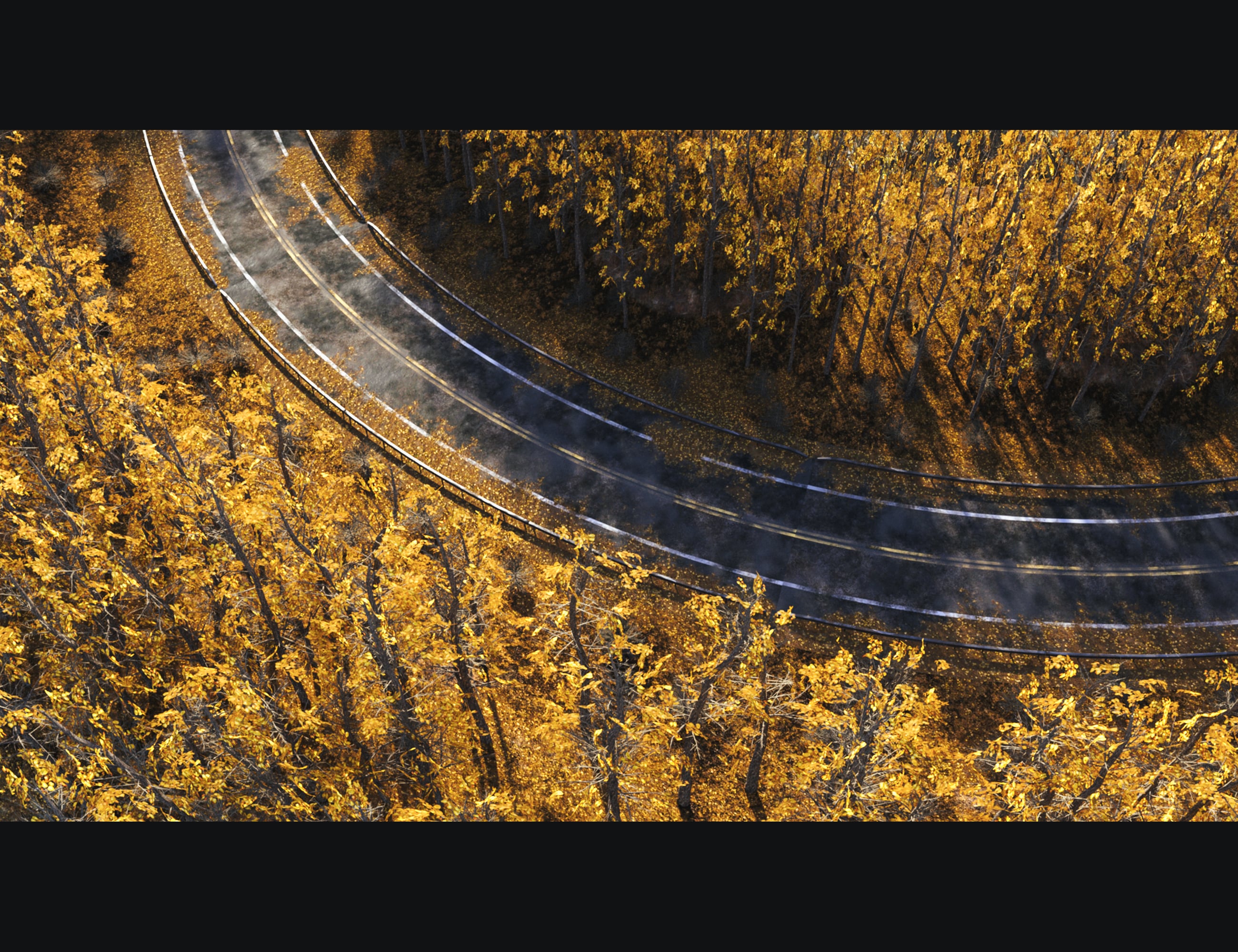 Forest Road | Daz 3D