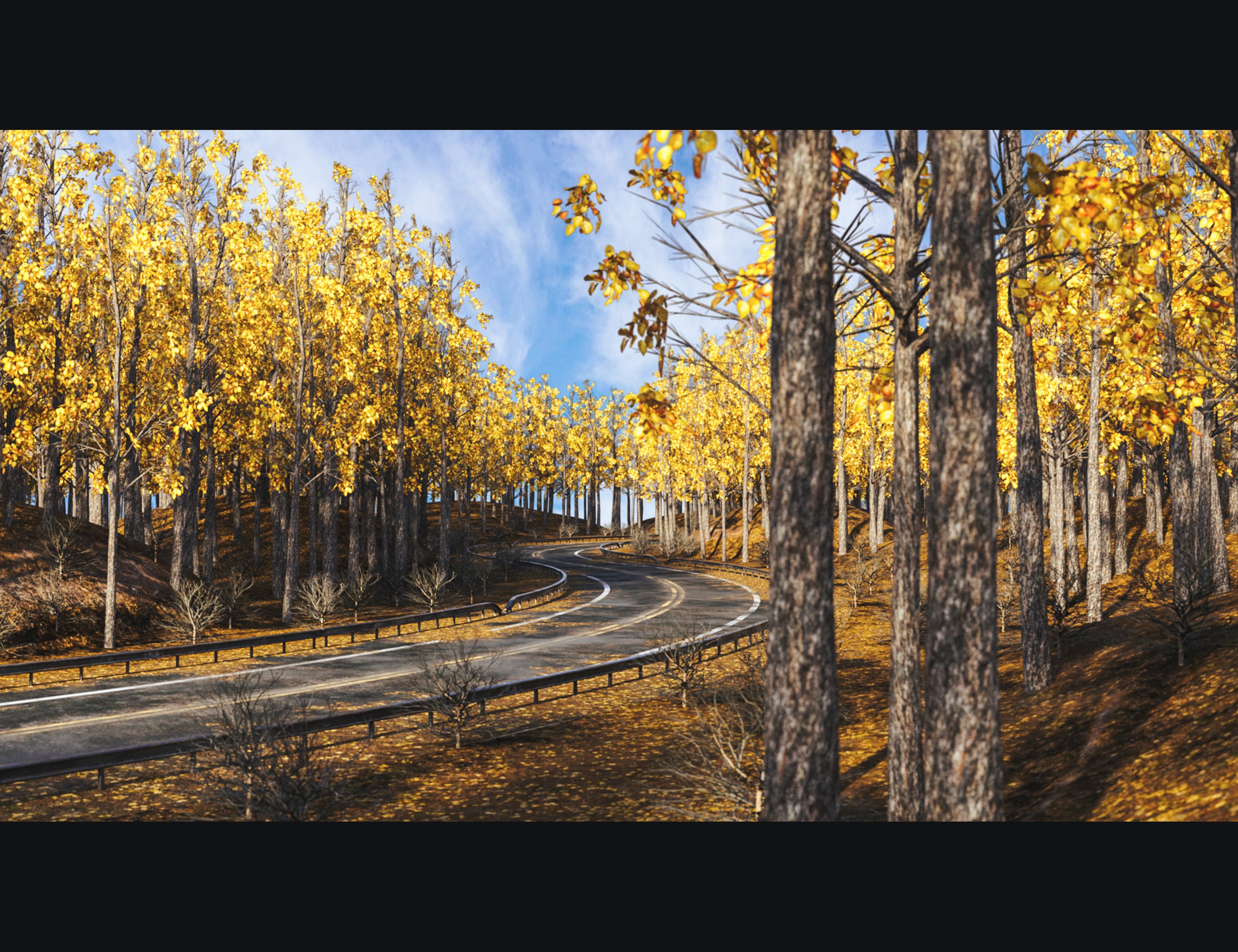 Forest Road | Daz 3D