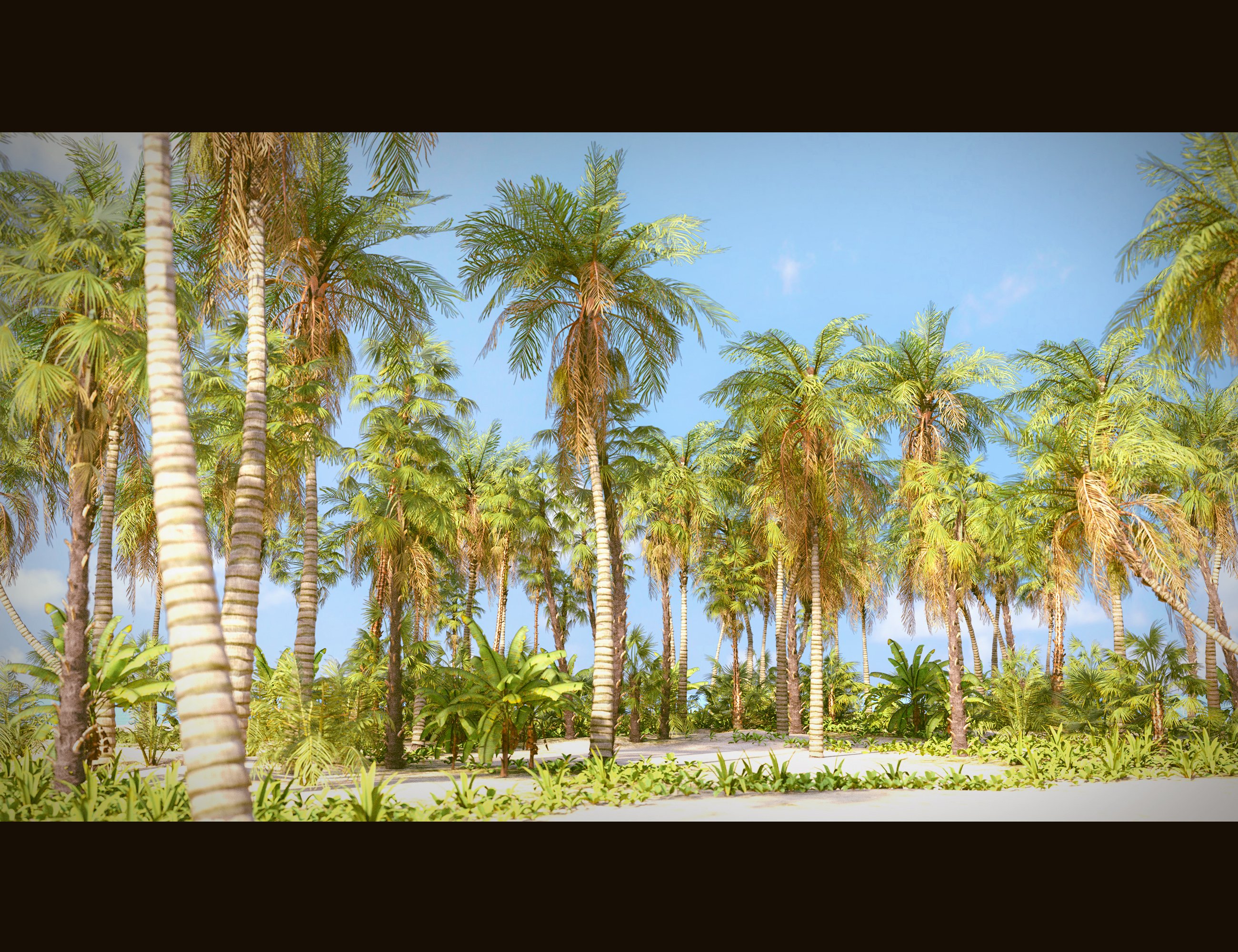 Tropical Beach | Daz 3D
