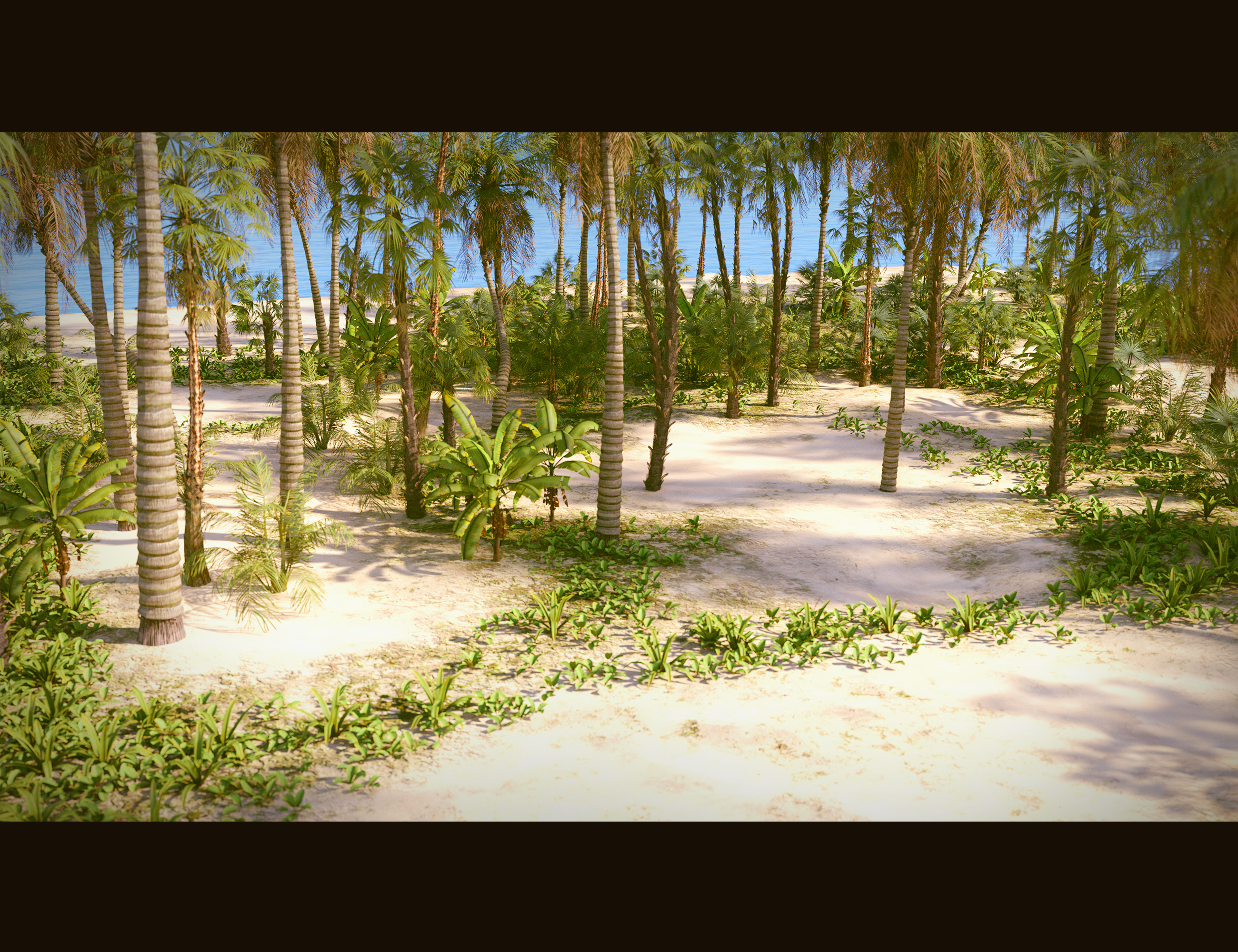 Tropical Beach | Daz 3D