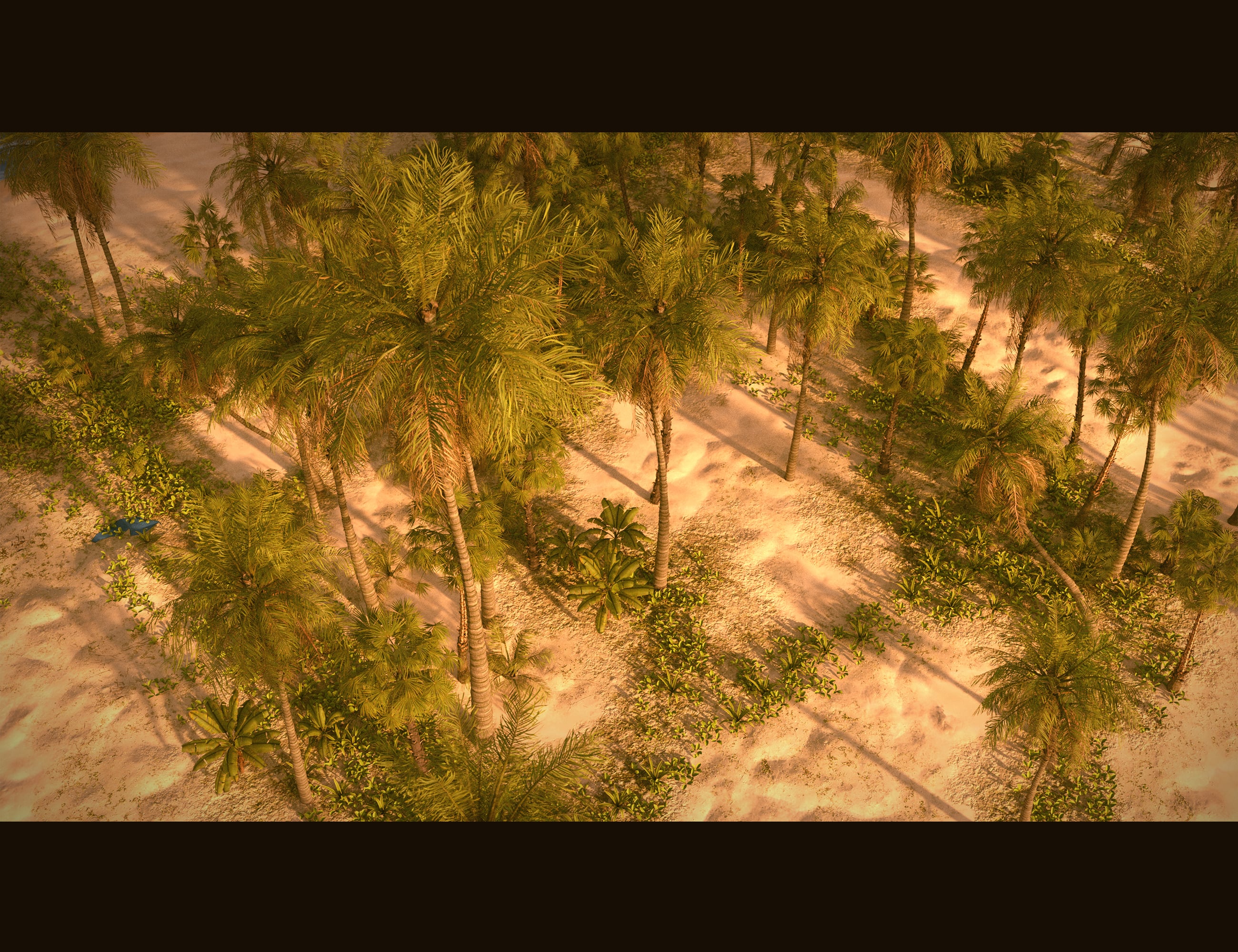 Tropical Beach | Daz 3D