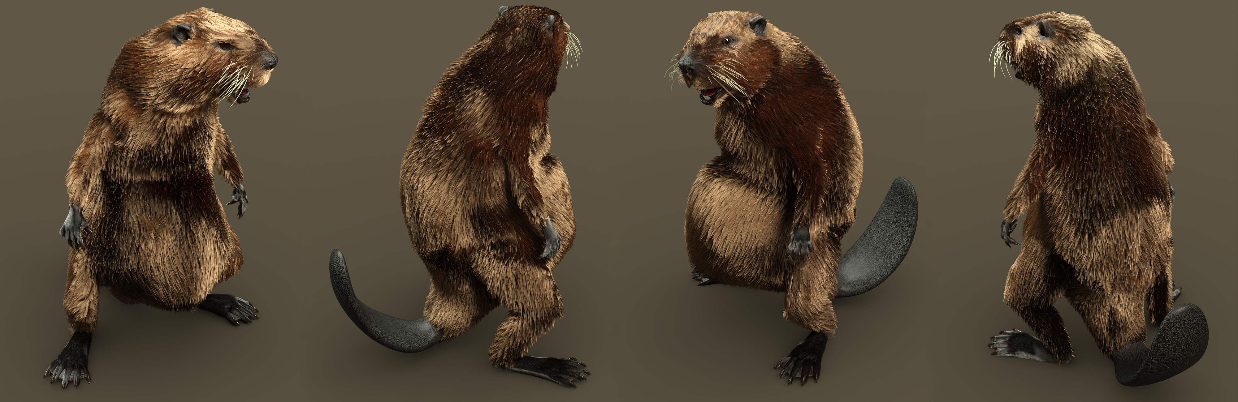 Storybook Beaver for Genesis 8.1 Males | Daz 3D