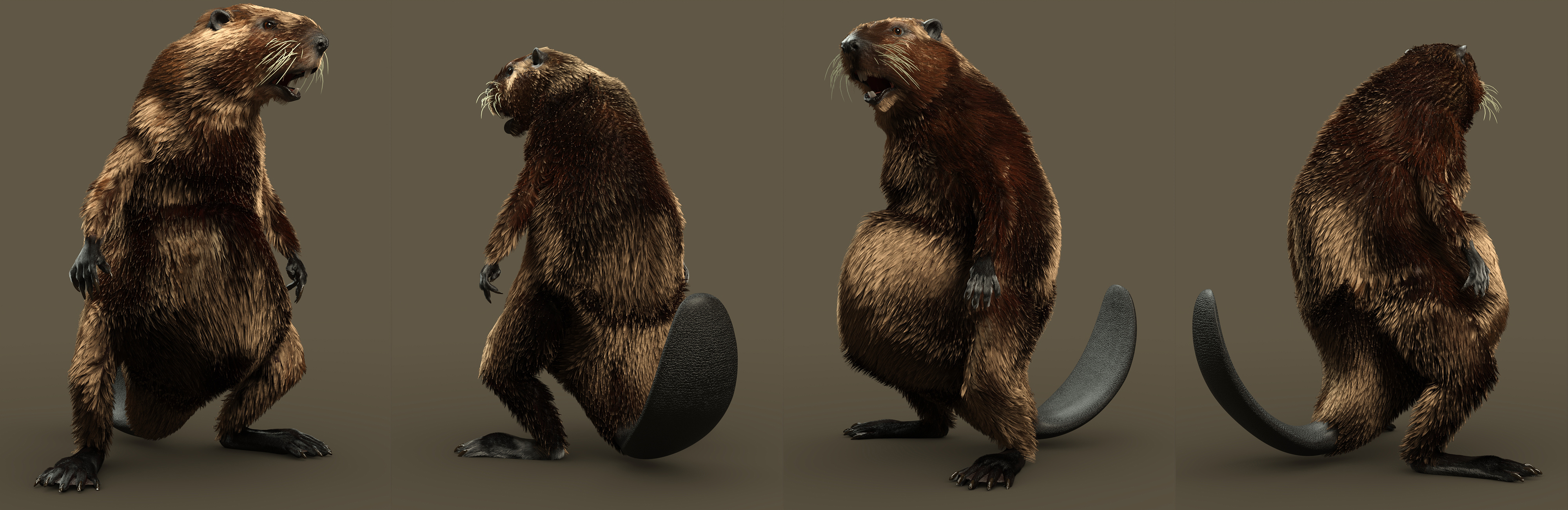 Storybook Beaver for Genesis 8.1 Males | Daz 3D