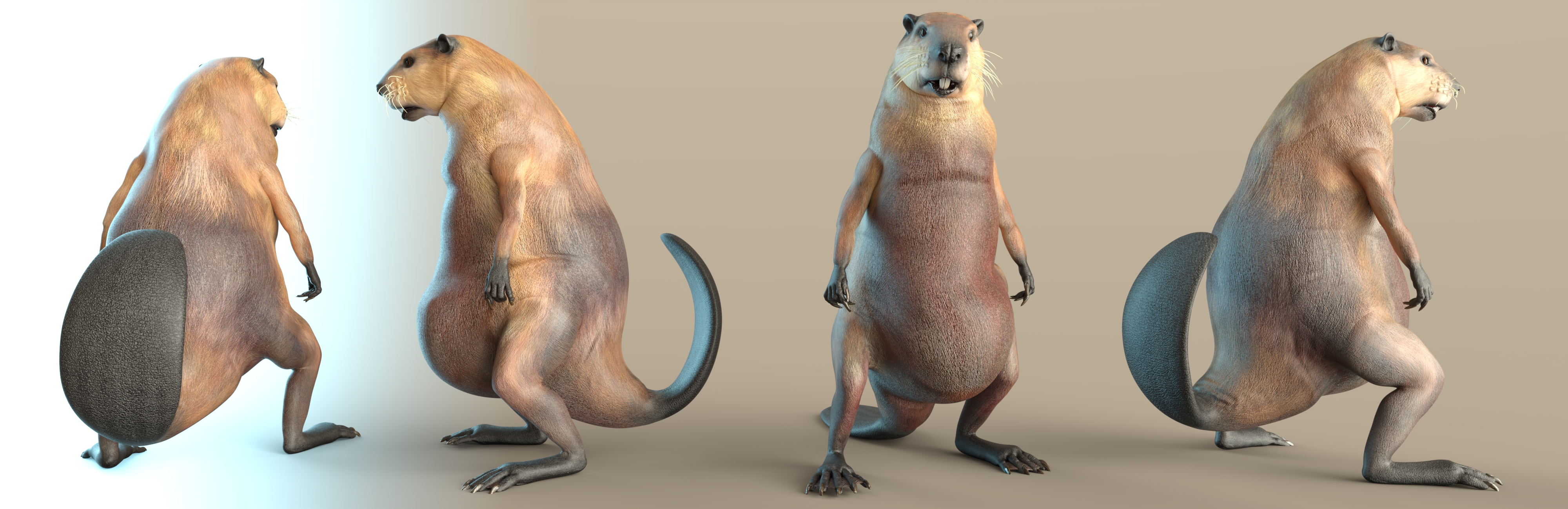 Storybook Beaver for Genesis 8.1 Males | Daz 3D