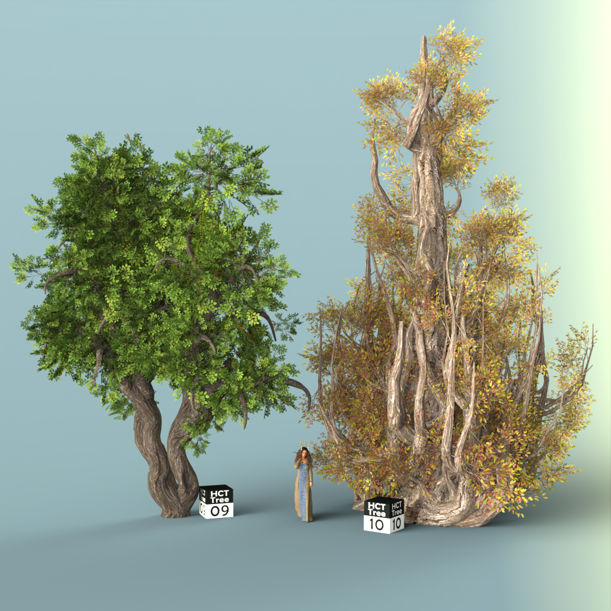 Hybrid Celtic Trees | Daz 3D