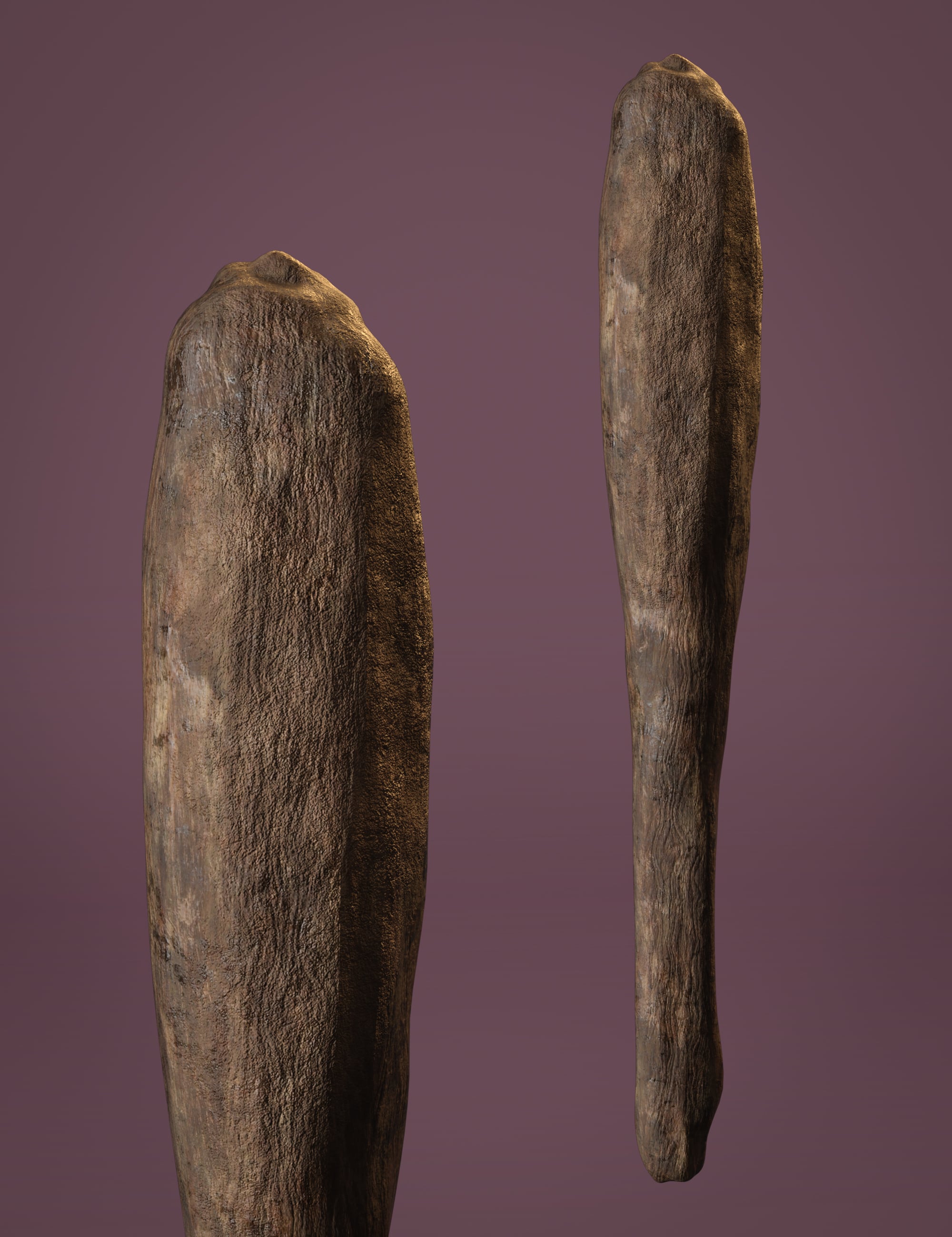 BW Primitive Weapons Set 02 for Genesis 8 and 8.1 | Daz 3D
