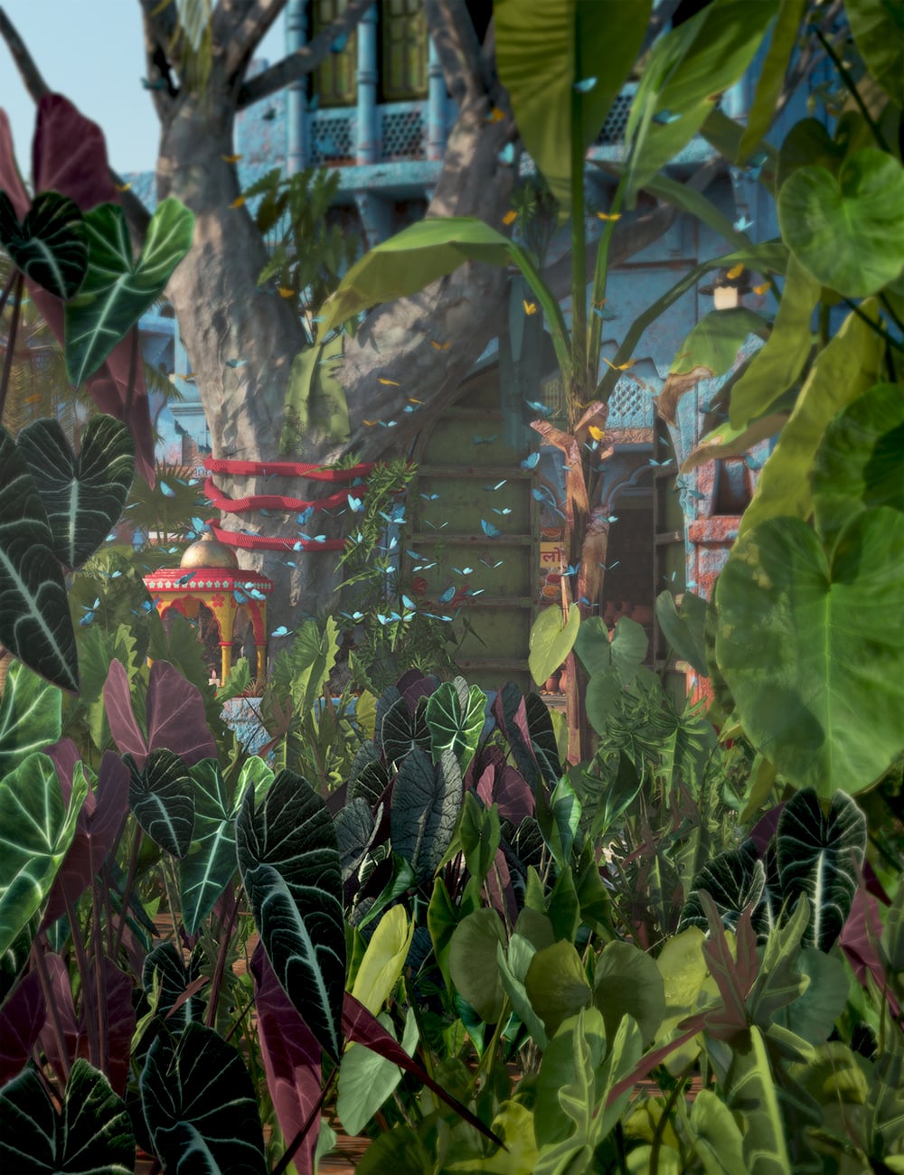 Tropical Alocasia Plants - Tropical Jungle and Container Plants | Daz 3D