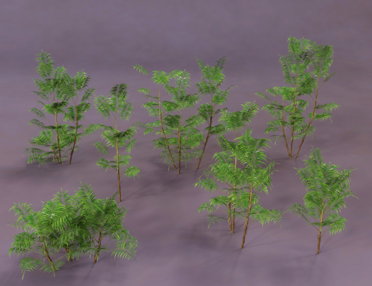 Tropical Palms Volume 2 - Dwarf and Small Palm Trees | Daz 3D