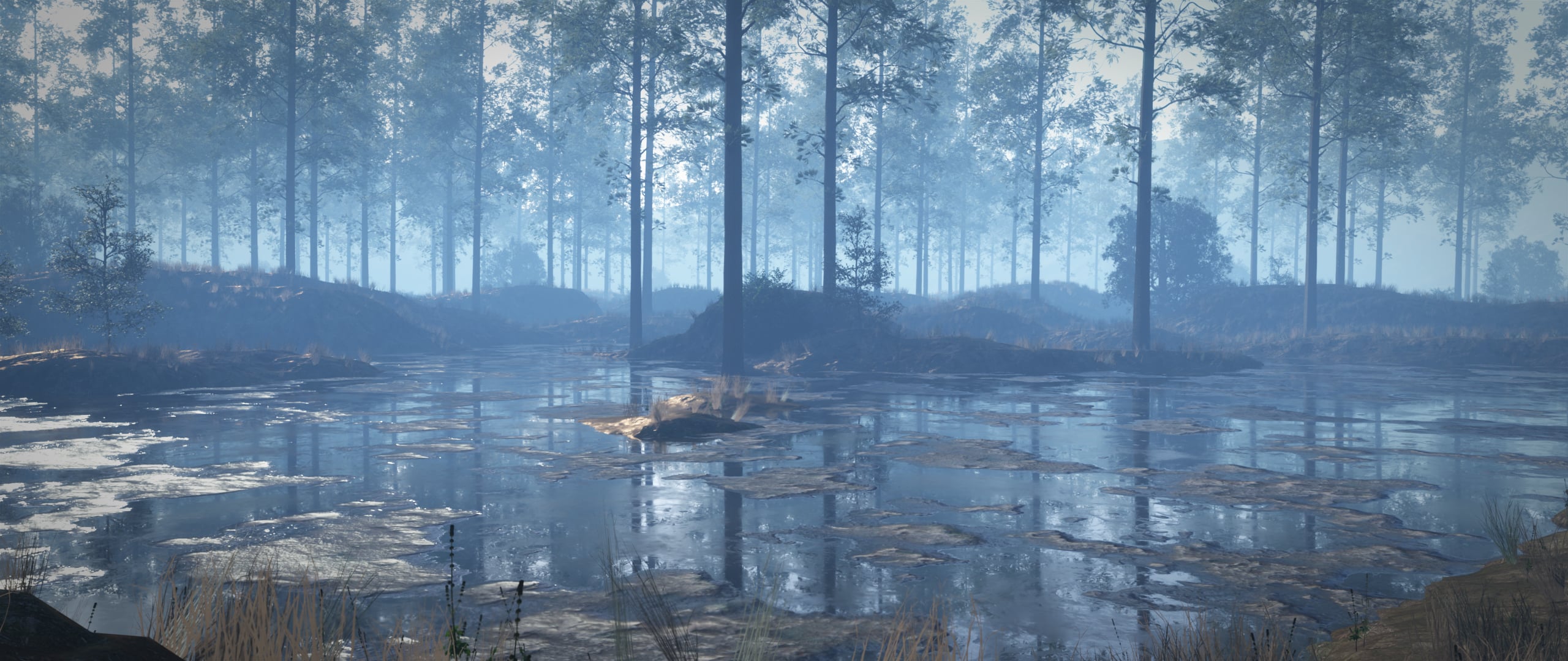 Mega Terrain: Swampland | Daz 3D