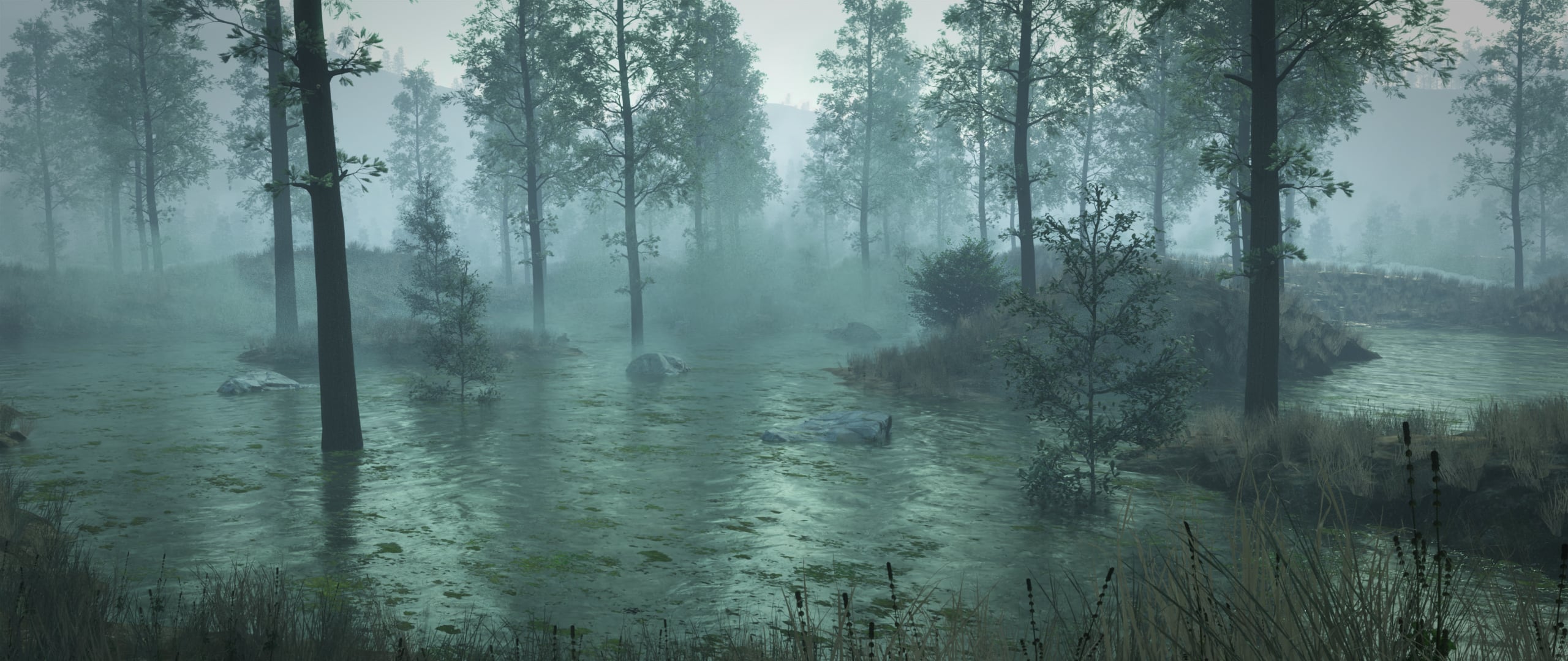 Mega Terrain: Swampland | Daz 3D