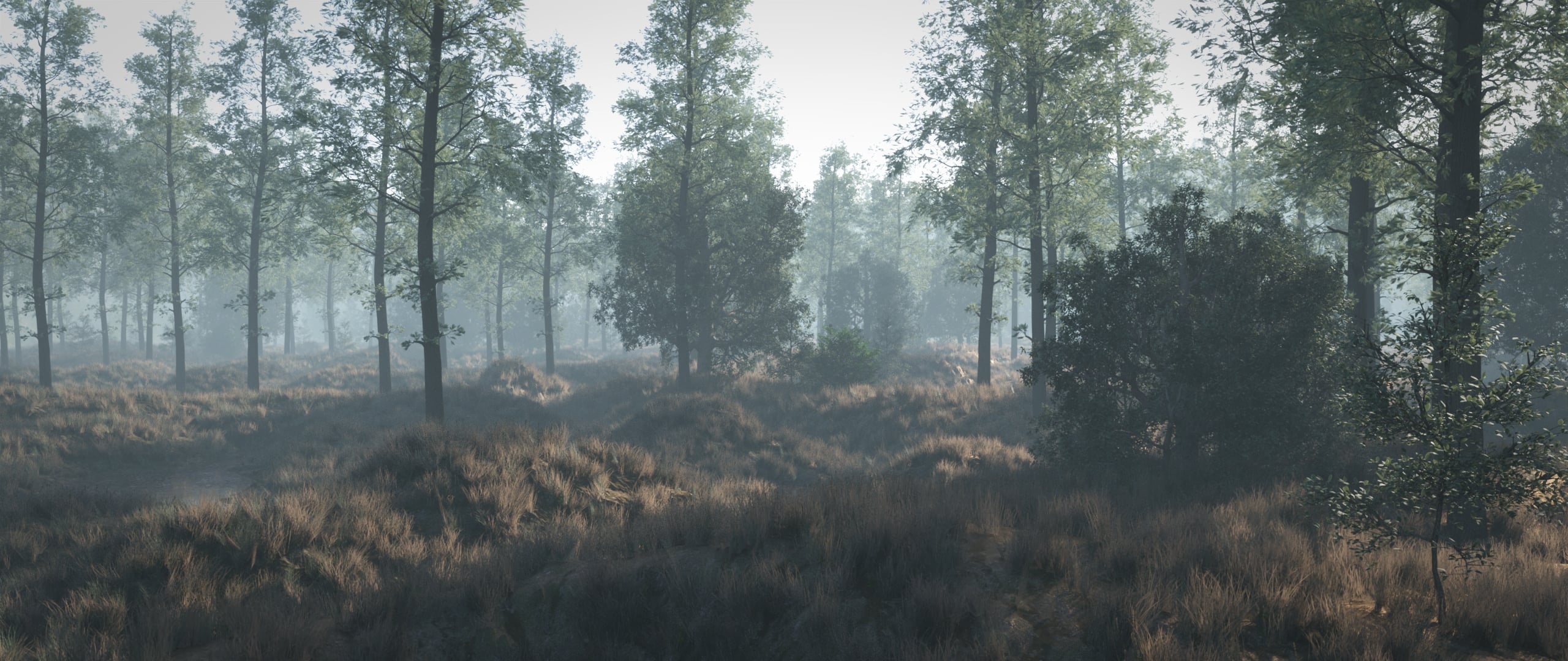 Mega Terrain: Swampland | Daz 3D