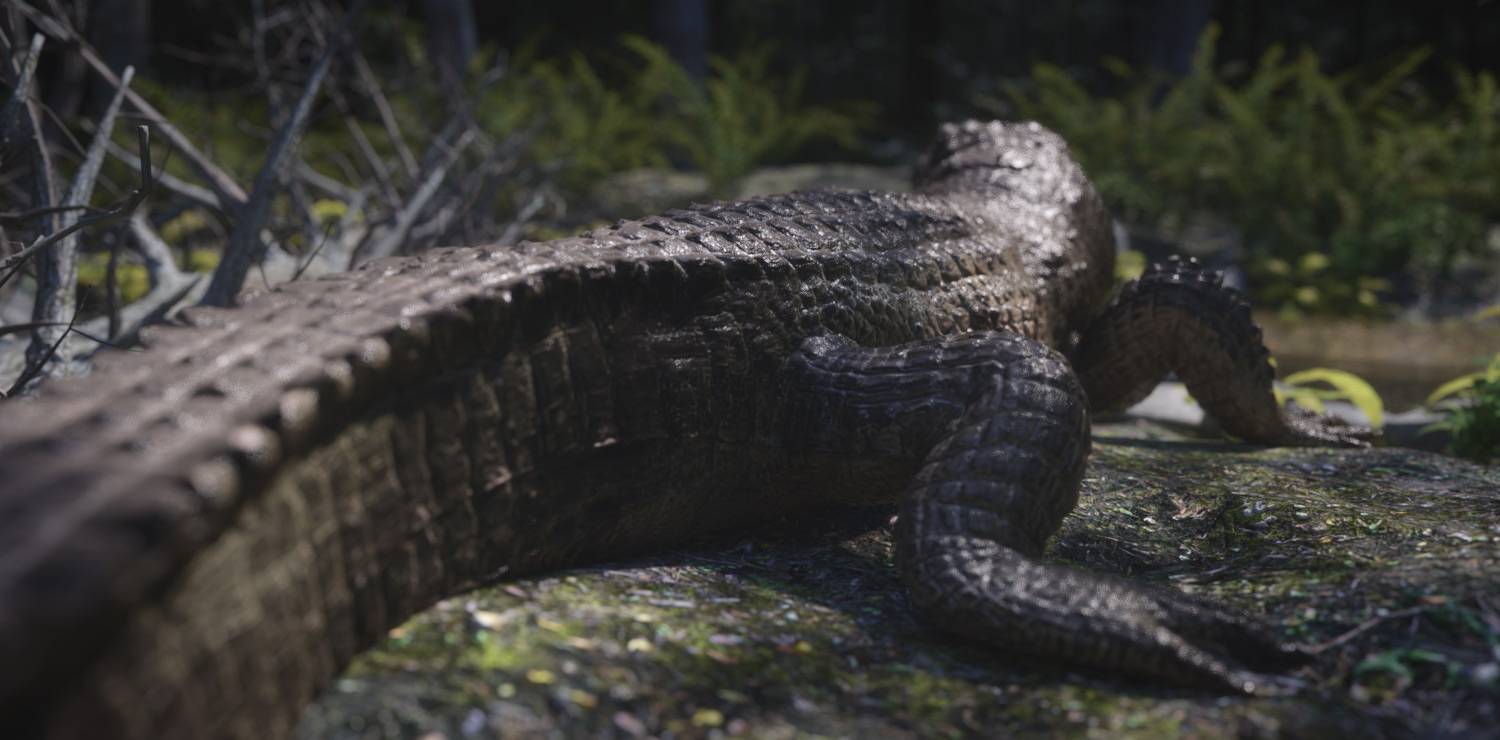 HD Scans Crocodile Prop | Daz 3D