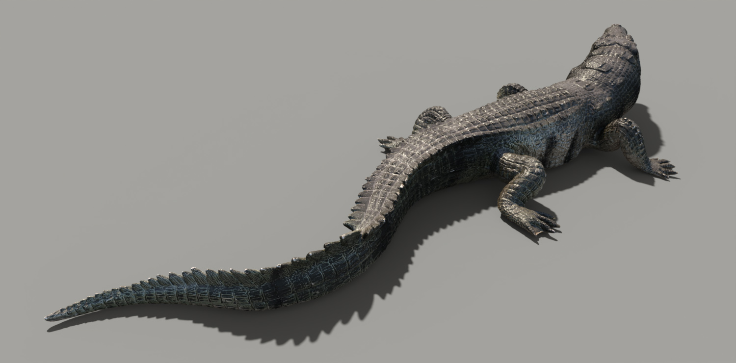 HD Scans Crocodile Prop | Daz 3D