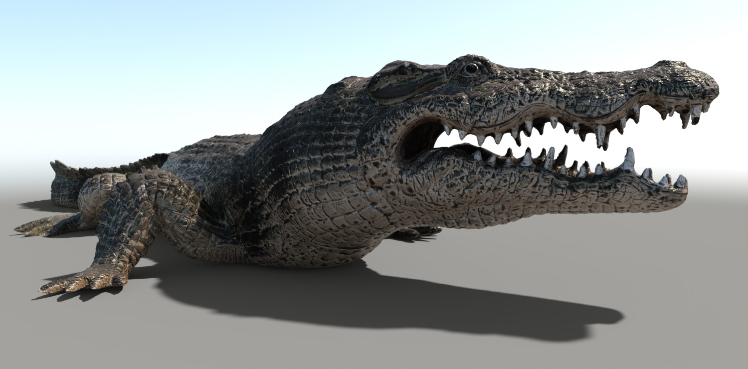 HD Scans Crocodile Prop | Daz 3D