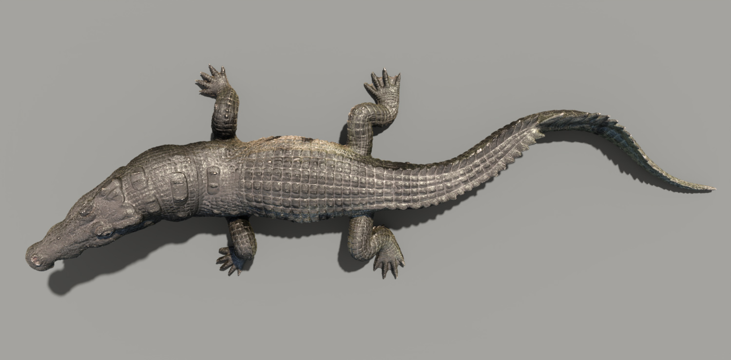 HD Scans Crocodile Prop | Daz 3D
