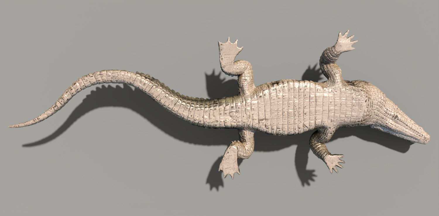 HD Scans Crocodile Prop | Daz 3D