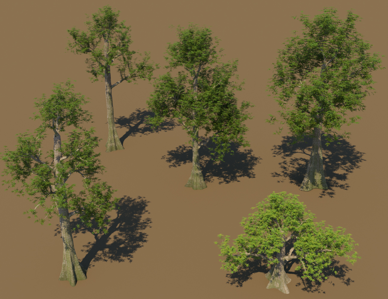 Tropical Plants Vol 3 - Rainforest Trees and Vines | Daz 3D