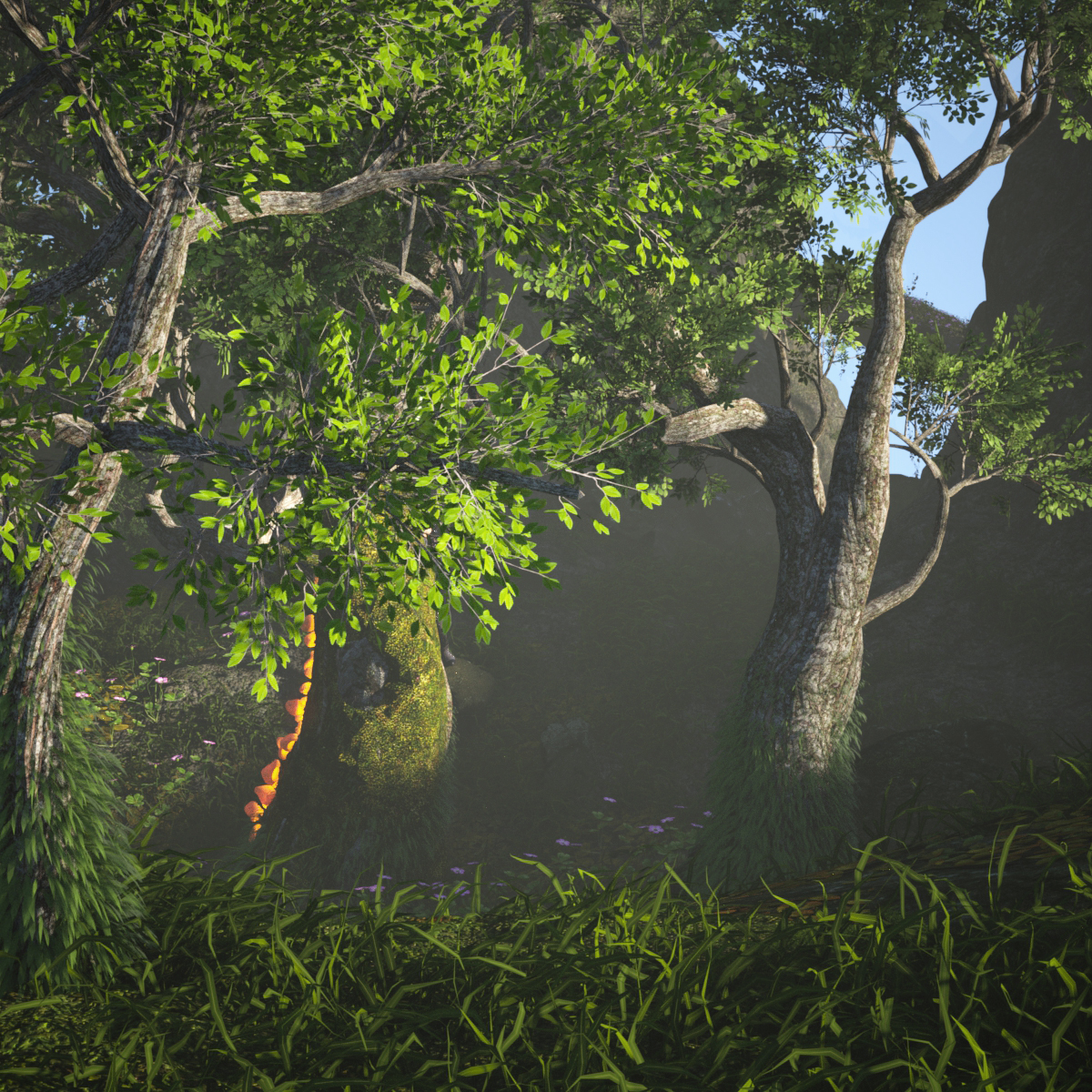 Valley Trees | Daz 3D
