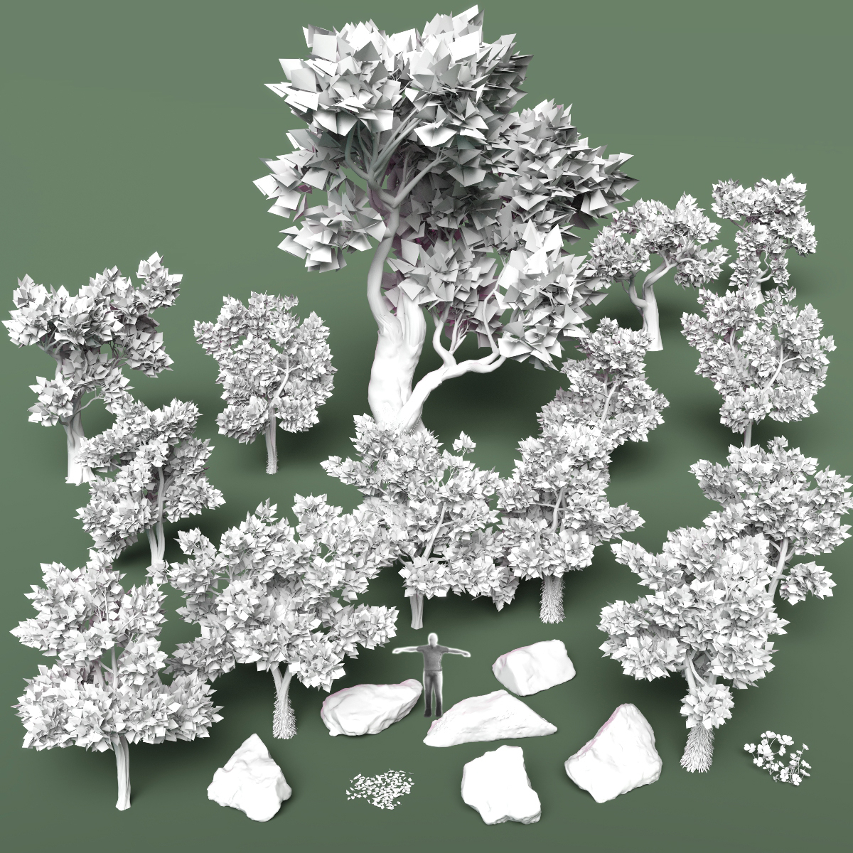 Valley Trees | Daz 3D