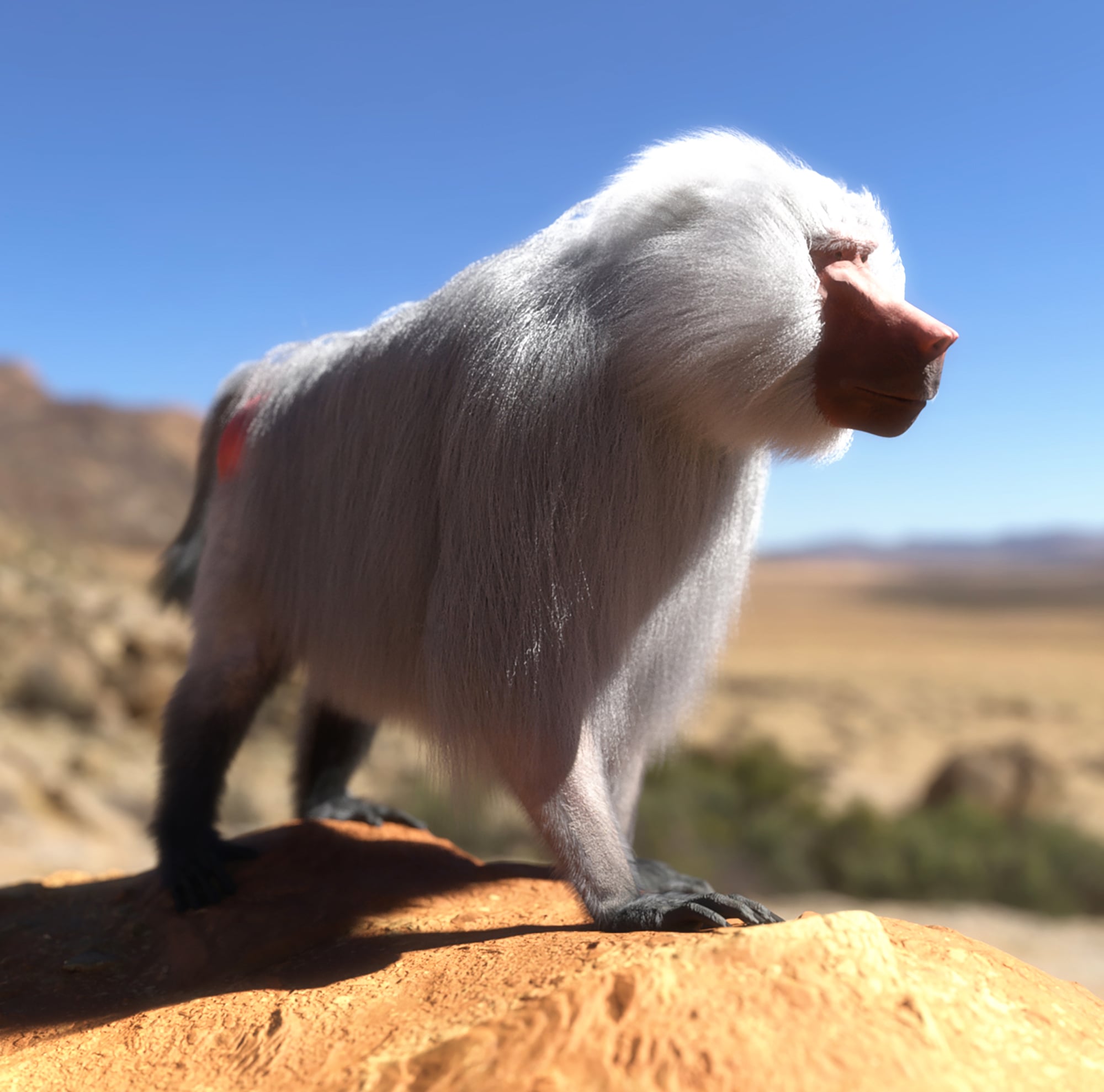 Baboon by AM for Genesis 8 Male | Daz 3D