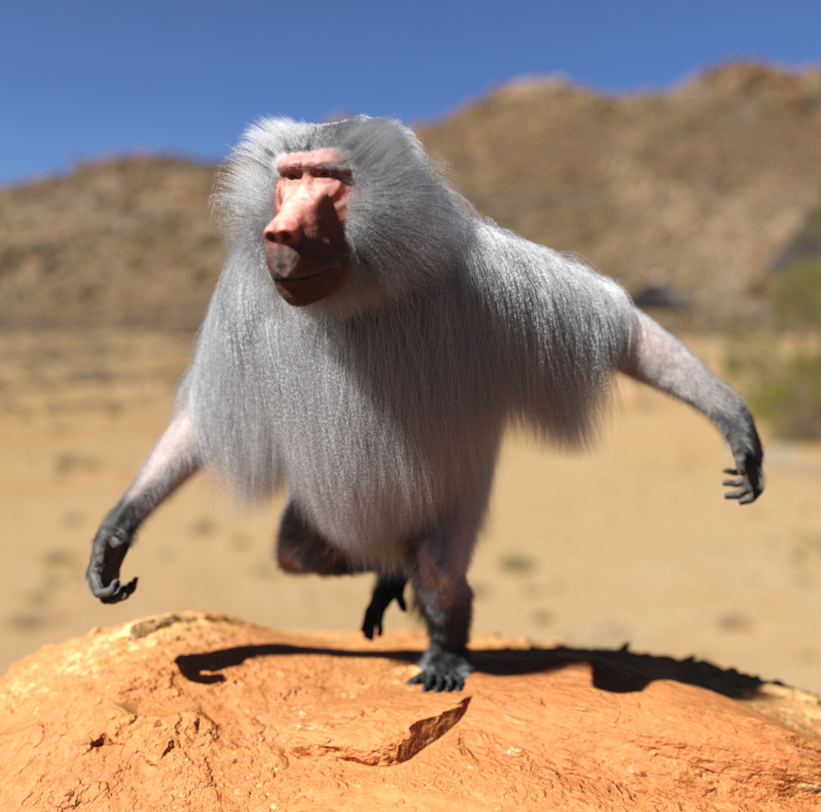 Baboon by AM for Genesis 8 Male | Daz 3D